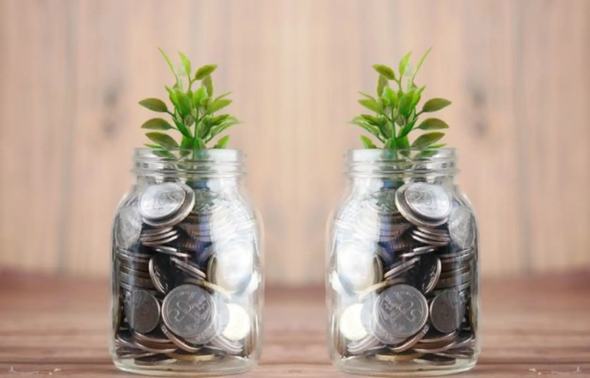 A deep dive into the world of climate fintech with firstminute Capital ...